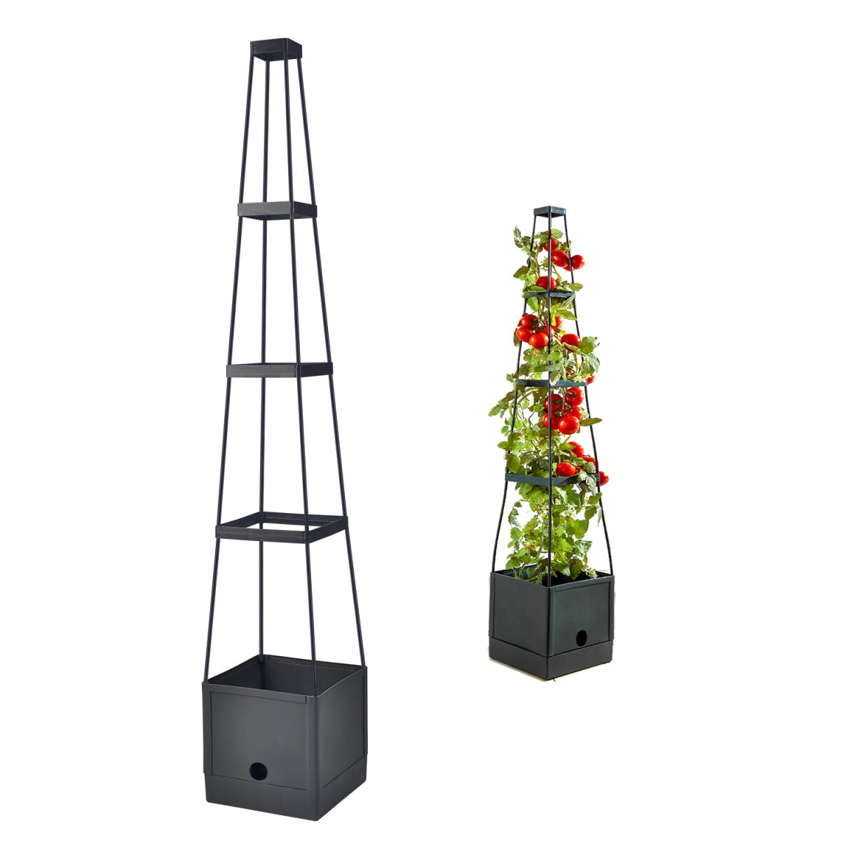 Tomaten-Rankhilfe Pflanztopf 25x25cm Kunststoff, 21,99